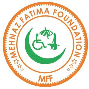 Mehnaz Fatima Foundation (MFF) – Stimulating lives through quality education & Inclusive services